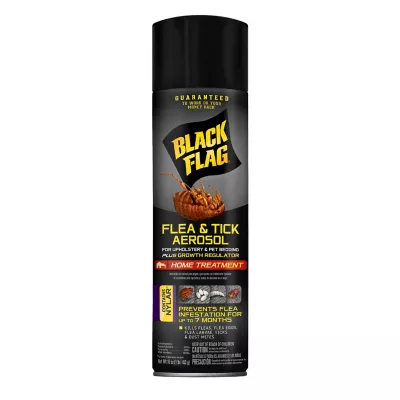 Black Flag Bed Bug Aerosol Spray Review: Budget Hero or Hidden Hassle ...